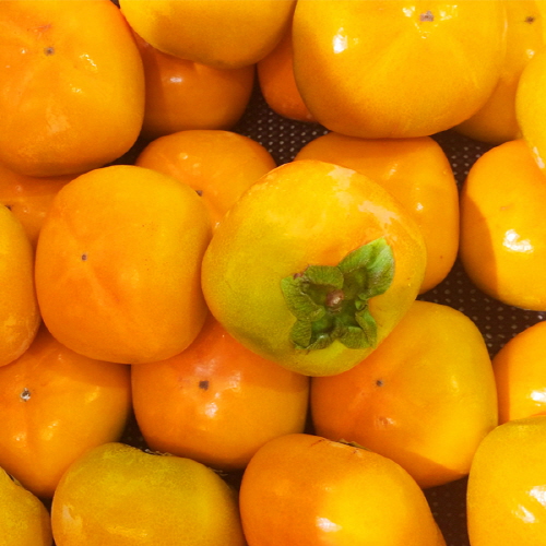 현대오일뱅크 포인트몰