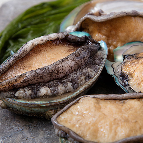 현대오일뱅크 포인트몰